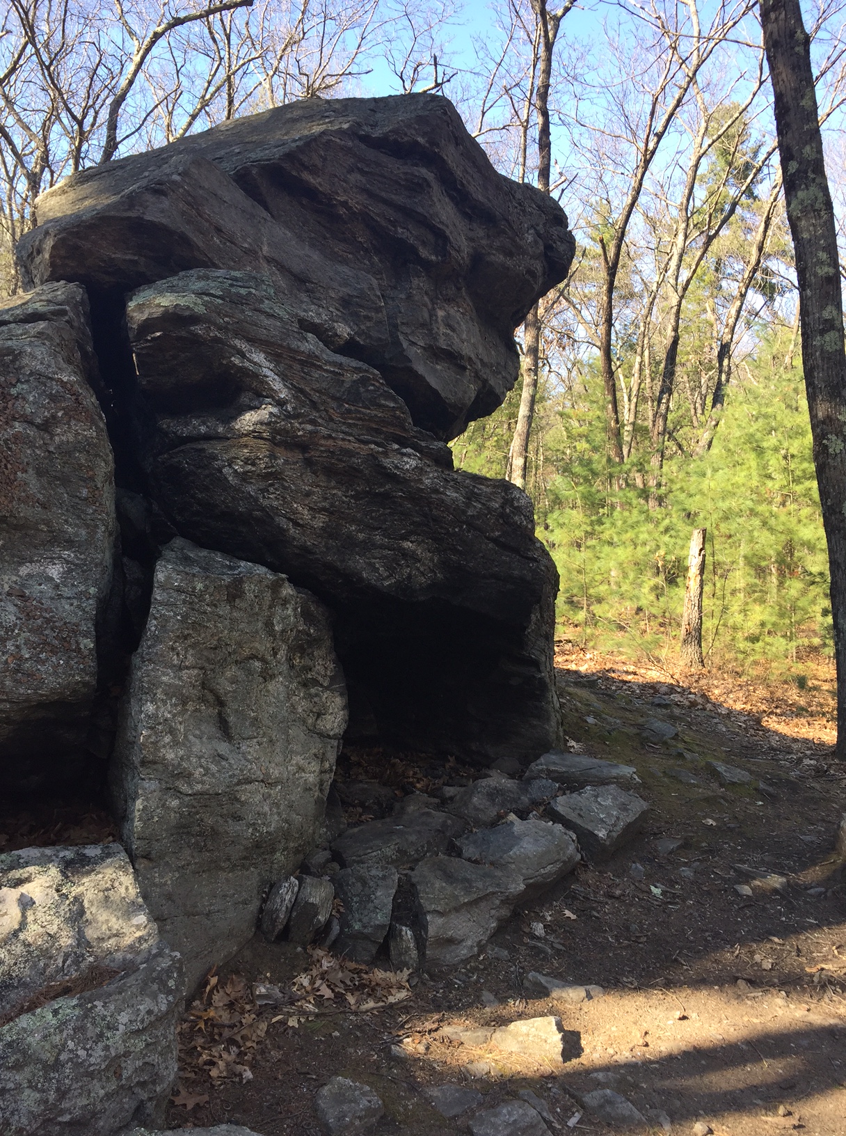 Hiking with a Dose of History: Chelmsford’s Thanksgiving Forest ...