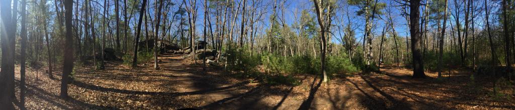 Hiking with a Dose of History: Chelmsford’s Thanksgiving Forest ...