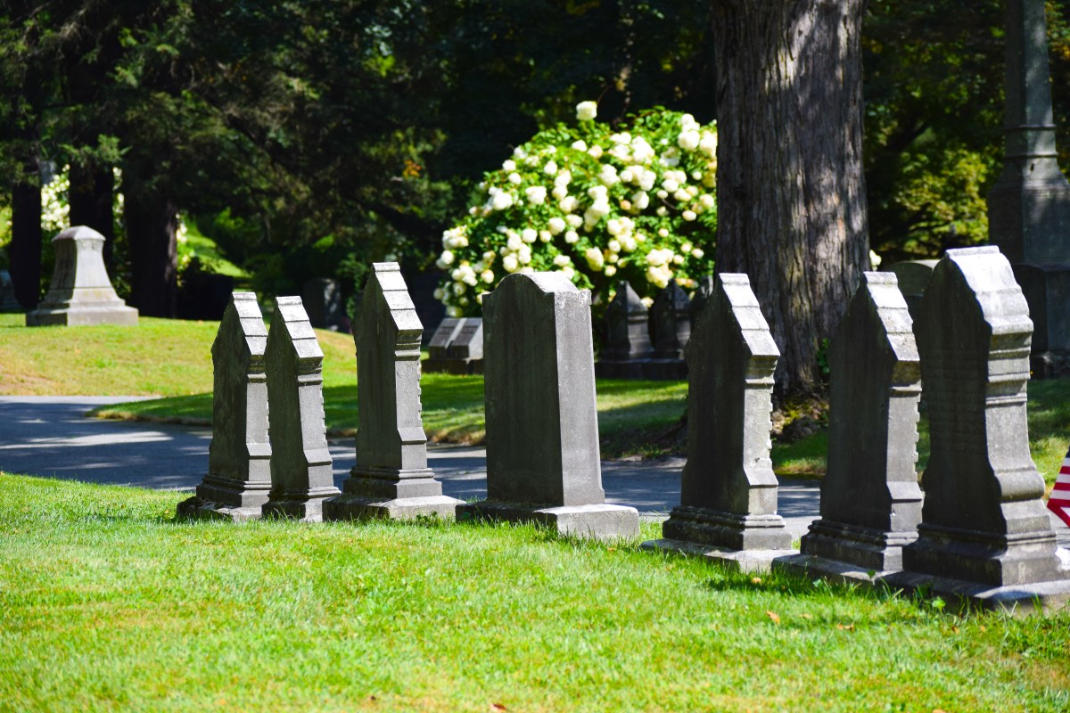 Azores Genealogy – 6 Easy Steps to Extend Your Family Tree Back to the ...