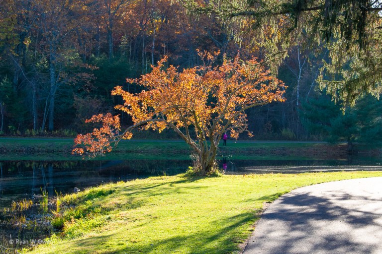 Benson’s Wild Animal Farm – The Strangest Farm on Earth – Forgotten New ...
